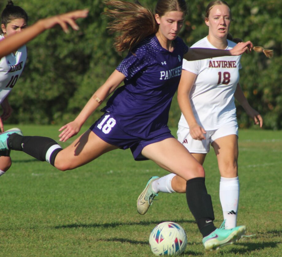 Throwback: Kopicko helps South beat Alvirne at former home | News ...